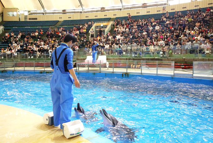 Seoul Land and Seoul Zoo Admission Ticket - Klook United States