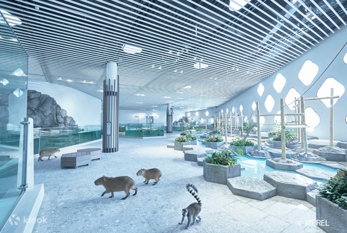 Interact with Majestic Animals in this NIFREL Interactive Aquazoo E ...