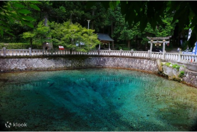 Akiyoshidai Karst Road Cycling Bike Trip from Yamaguchi | Klook