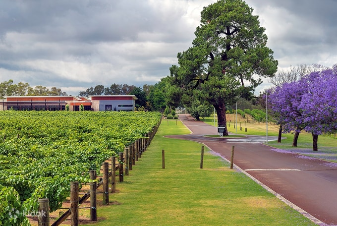 Guided Tour And Wine Tasting in Mandoon Estate - Klook Philippines