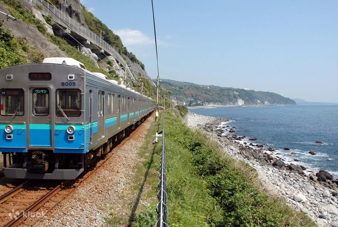Izu-kyu Line 1/2/3 Day Passes from Tokyo, Japan - Klook Hong Kong