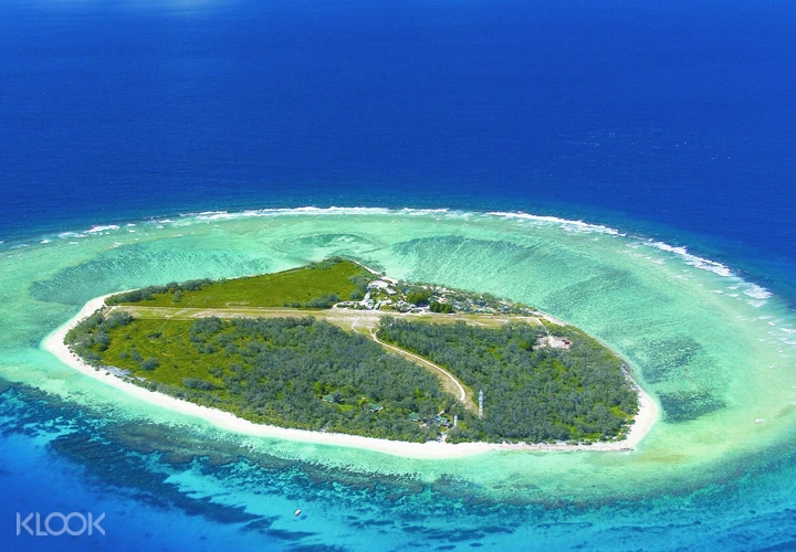 Lady Elliot Island