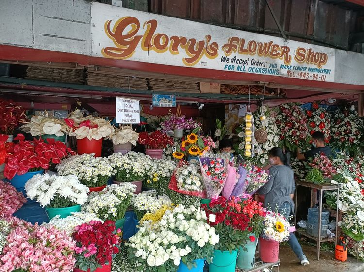 Flower In Baguio | Best Flower Site