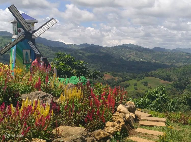 Flower Farm Cebu City | Best Flower Site