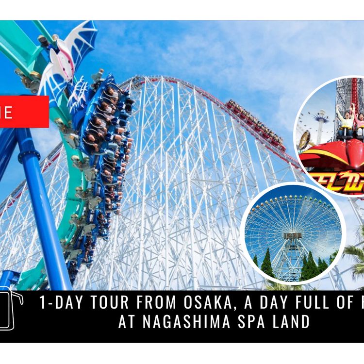 Nagashima Spa Land Skyview