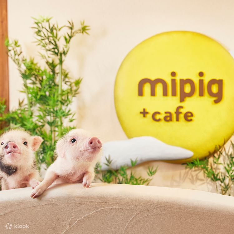 Micro Pig Items