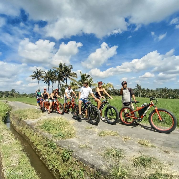 Fat Tire E Bike Tour in Ubud Klook Australia