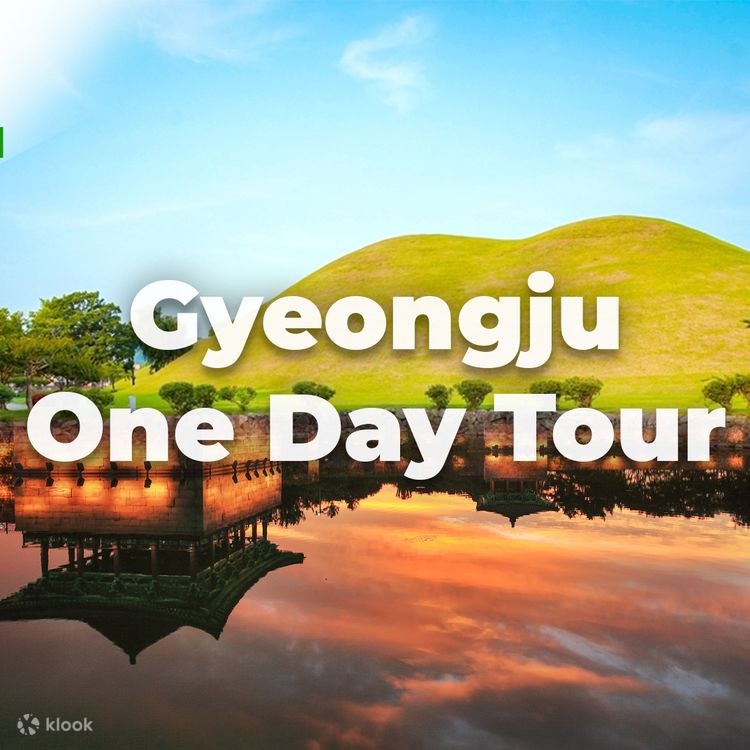 What Is A One Day Trip - Infoupdate.org