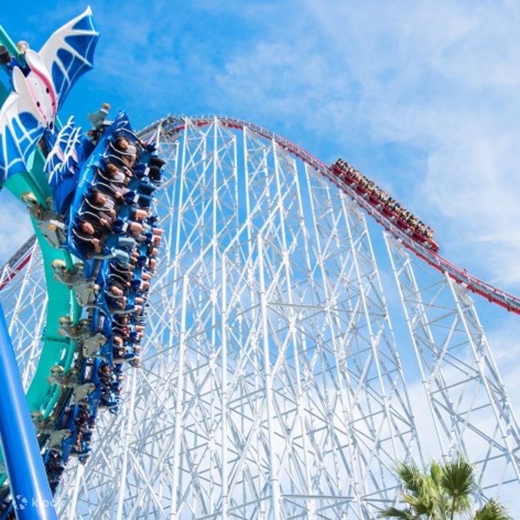 Nagashima Spa Land Skyview