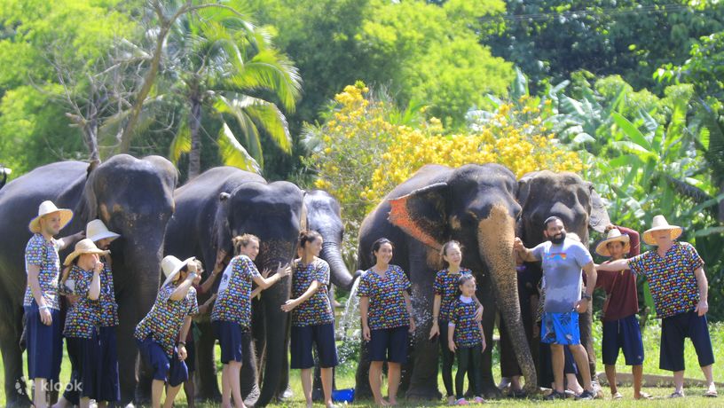 Kanta Elephant Half Day Tour from Chiang Mai - Klook香港