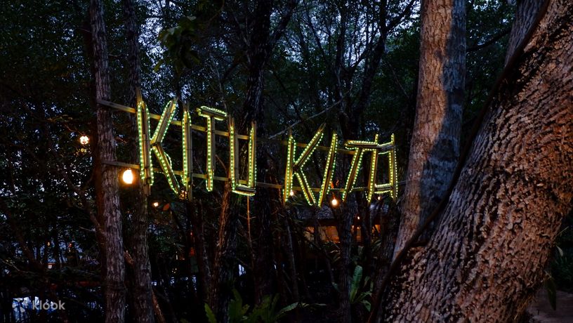 Firefly Watching in Puerto Princesa - Klook Philippines