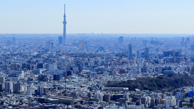Sky Circus Sunshine 60 Observatory Experience in Tokyo, Japan - Klook 客路