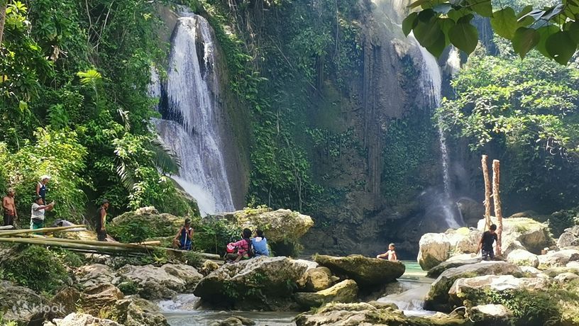 Whale Shark Interaction with Pahangog Twin Falls in Bohol - 클룩 KLOOK 한국