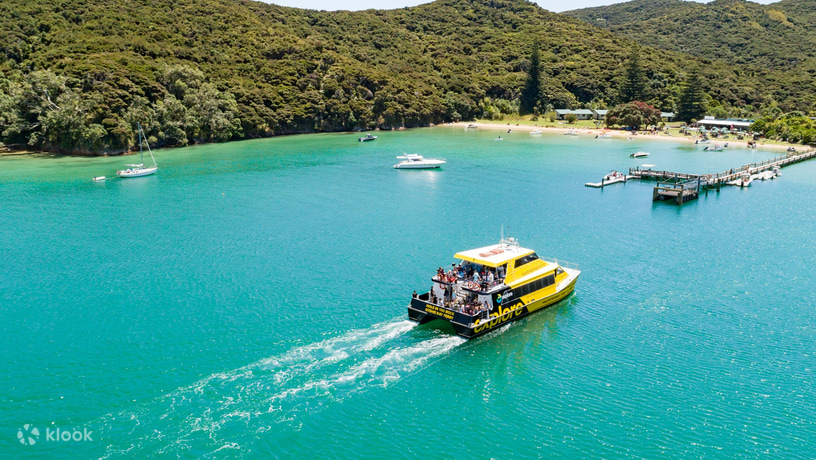Sightseeing Ferry Charter Trip for Otehei Bay - Klook India