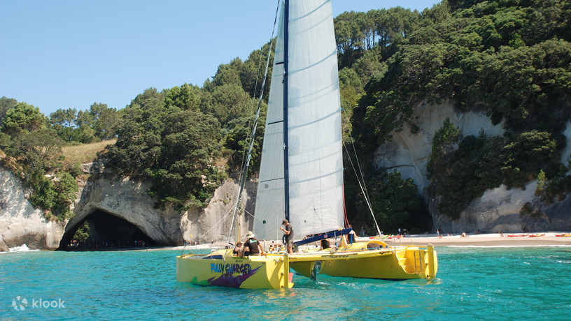 Cathedral Cove Sailing Adventures - 클룩 KLOOK 한국