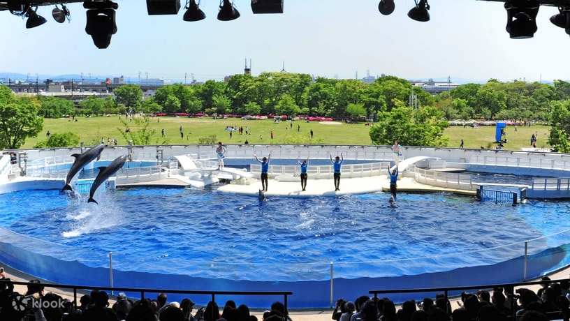 Kyoto Aquarium Admission Ticket in Japan - 클룩 KLOOK 한국