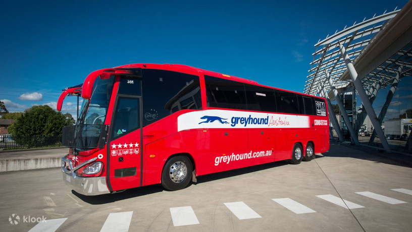 Shared City Transfers between Cairns and Airlie Beach/Townsville by ...