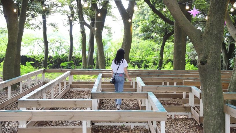 Maze Land in Jeju - Klook Philippines