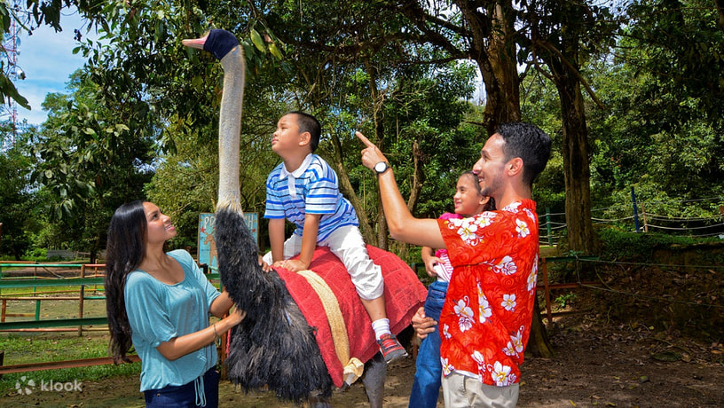 P.D. Ostrich and Pets Show Farm Ticket in Port Dickson - Klook
