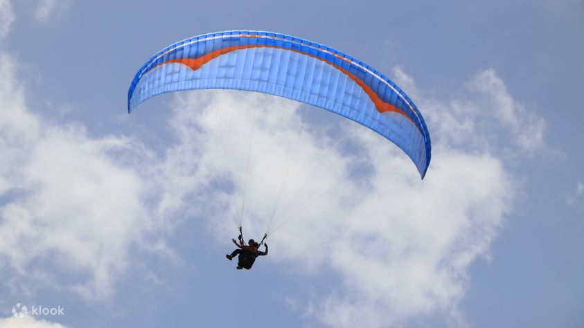 Professional Tandem Paragliding in Kedah - Klook