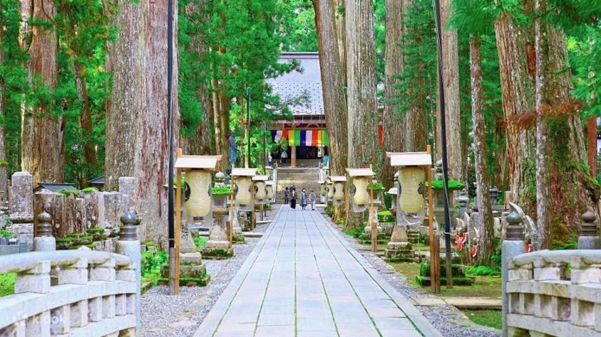 World Heritage Sites Mount Koya One Day Bus Tour from Osaka - Klook ...