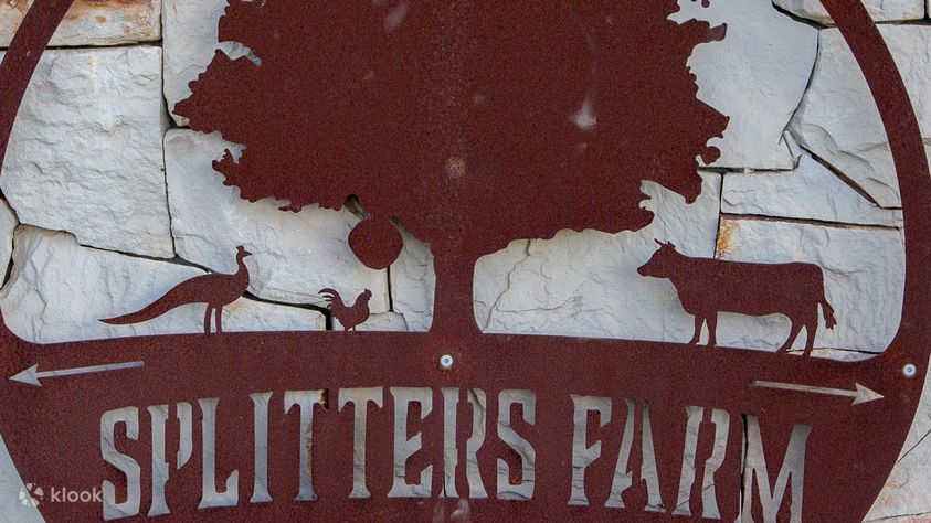 Bundaberg 的 Splitters 农场导览游 - Klook客路