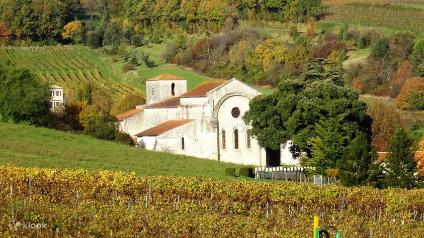 Cognac Distillery and Bordeaux Winery Private Tour from Cognac, France ...