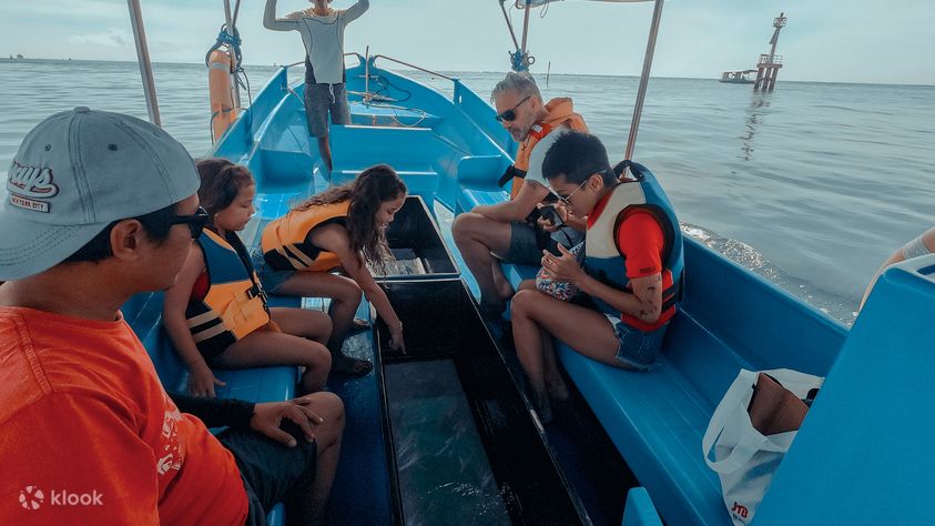 Turtle Island, Glass Bottom Boat and Mangrove Cruise by JTB Indonesia - Klook