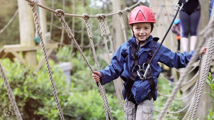 TreeTop Challenge at Mount Tamborine from Gold Coast - Klook