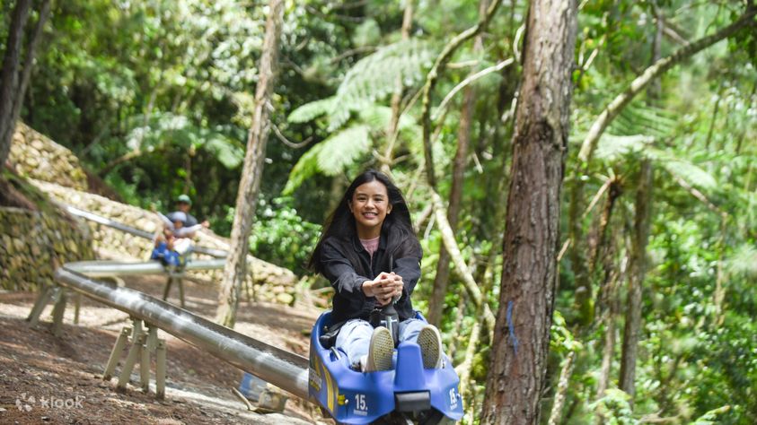 Dahilayan Adventure Park Ticket in Bukidnon - Klook Philippines