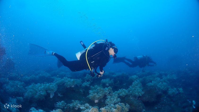 Dragon Cave Diving Club Experience Diving・PADI Beginner OW Course・PADI Advanced AOW Course ...