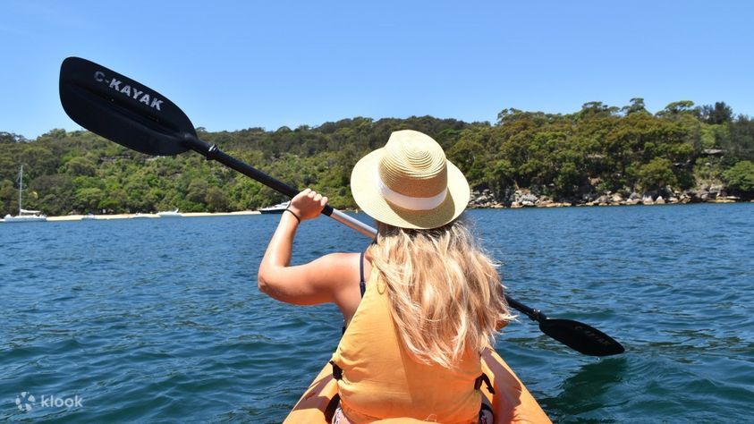 Manly Kayak Hire by Manly Kayak Centre in Sydney - Klook