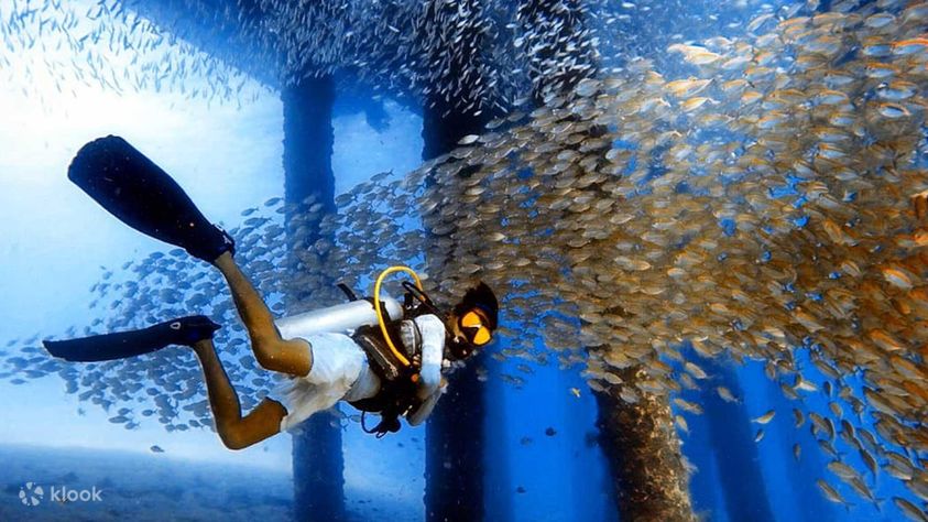 Shore Diving Experience in Tioman Island - Klook