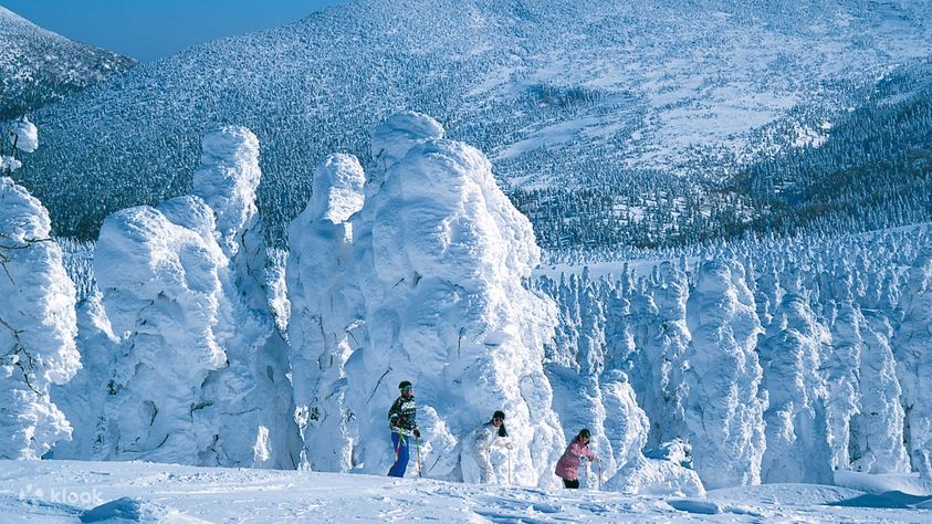 2D1N Snow Monster Trees Snowcat Tour from Sendai - Klook