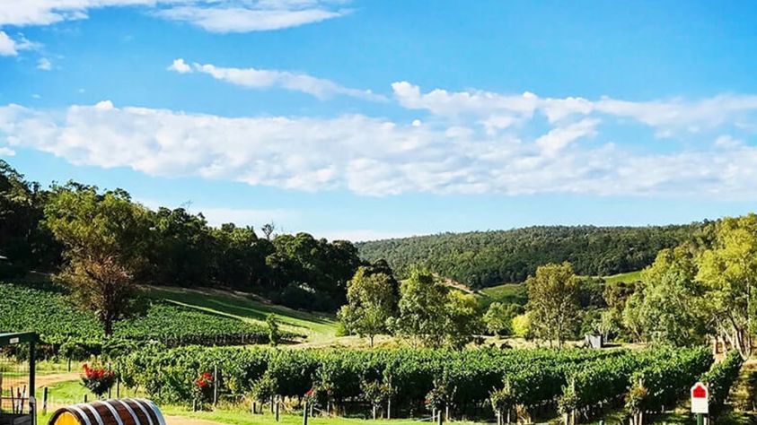 Bickley Valley Perth Wine & Cider Day Tour - Klook United States
