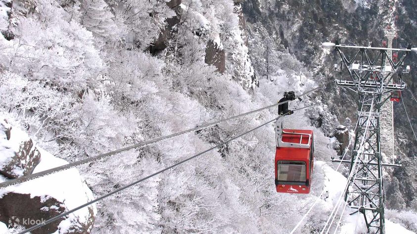Gozaisho Ropeway and Nabana no Sato One Day Bus Trip from Osaka - Klook Singapore