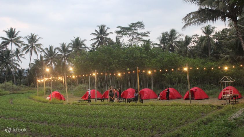2D1N Elo River Camping Experience from Yogyakarta - Klook