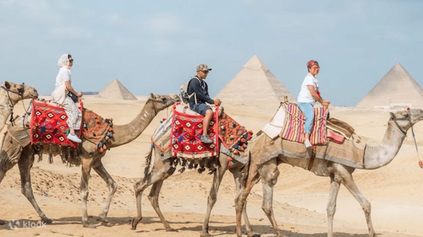 Camel Games Hong Kong