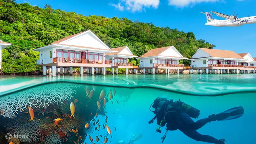 Luxury Travel Ideas: Discover The Pinnacle Of Sophisticated Journeying