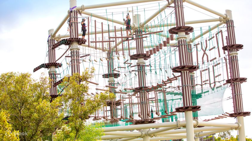 Next Level High Ropes Course in Maroochydore - Klook