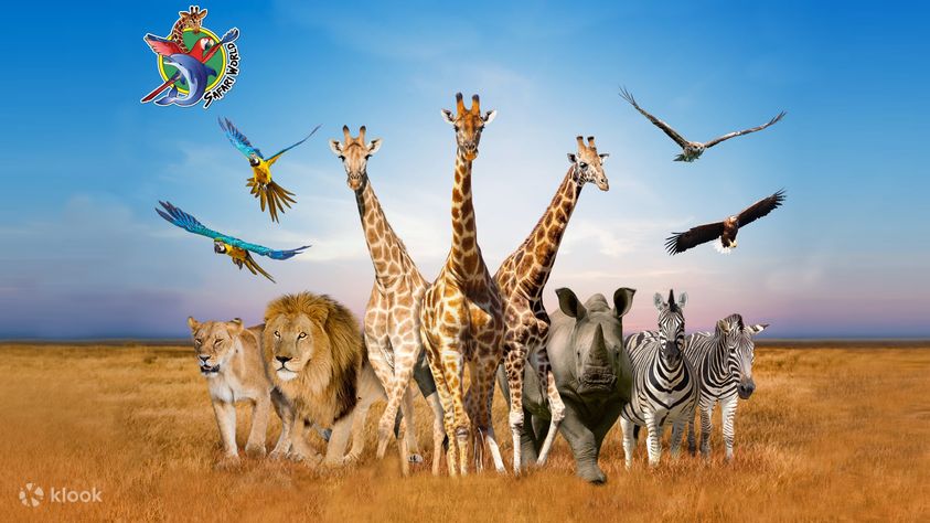 Buy Bangkok Safari World Tickets Online and Meet Exotic Animals - Klook