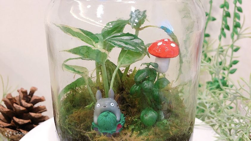 Taichung｜Micro Landscape Eco Bottle DIY Experience - Klook