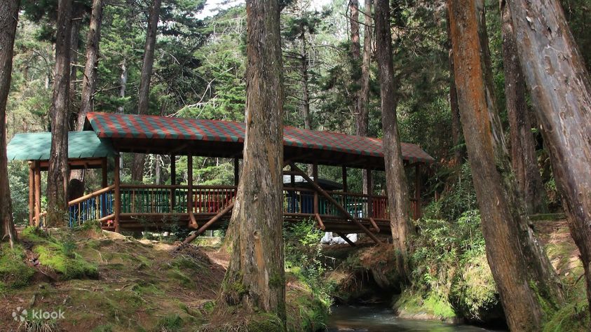 Medellin Parque Arvi Join In Walking Tour - Klook Australia