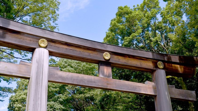 Tokyo Highlights Private Day Tour - Klook United States