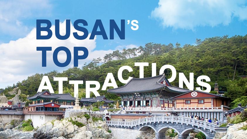 Busan City Day Tour - Klook