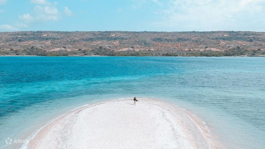 Menjangan Island, Snorkeling Island Hopping Tour from Bali With ...