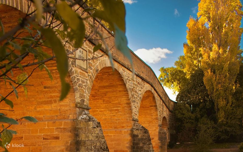 Zoodoo Zoo & Mount Wellington One-day Mountain & Old Town Tour - Klook ...