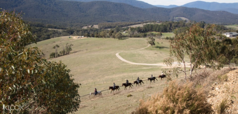 Yarra Valley Horse Trail Ride With Wine Tasting in Shire of Yarra ...