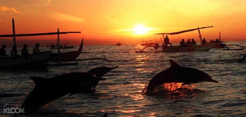 Lovina Dolphin Watching and Snorkeling in Bali - Klook Singapore