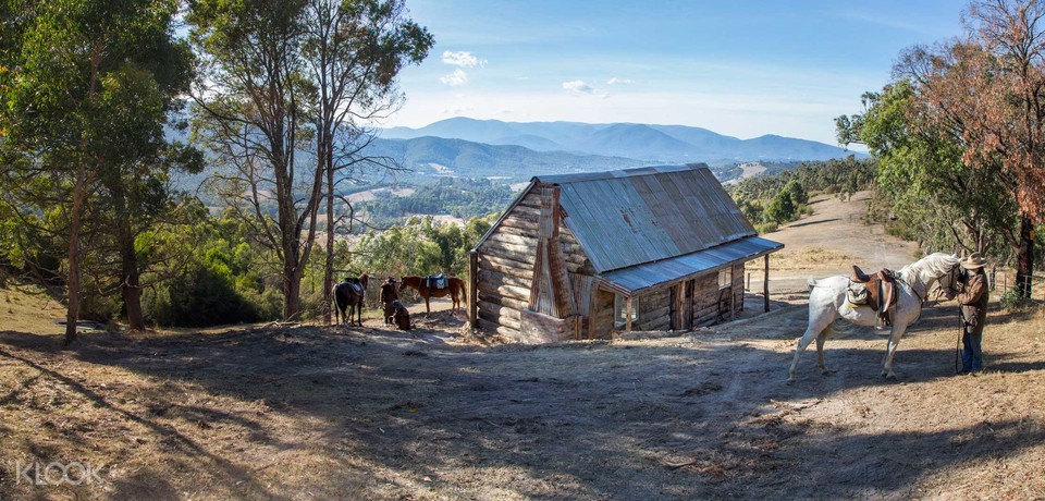 Yarra Valley Horse Trail Ride With Wine Tasting in Shire of Yarra ...